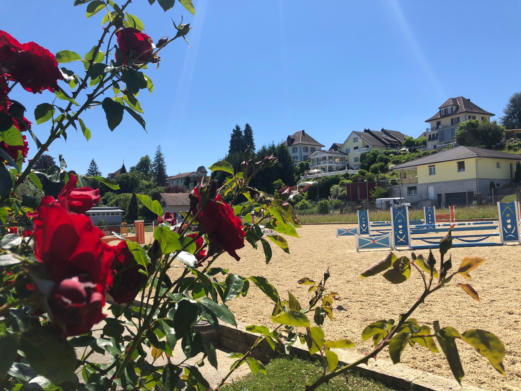 Hauri Sportpferde :: Stall & Geschichte, Für jeden Kunden das passende ...